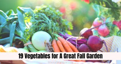 19 Vegetables for Your Fall Vegetable Garden--Tips Included!