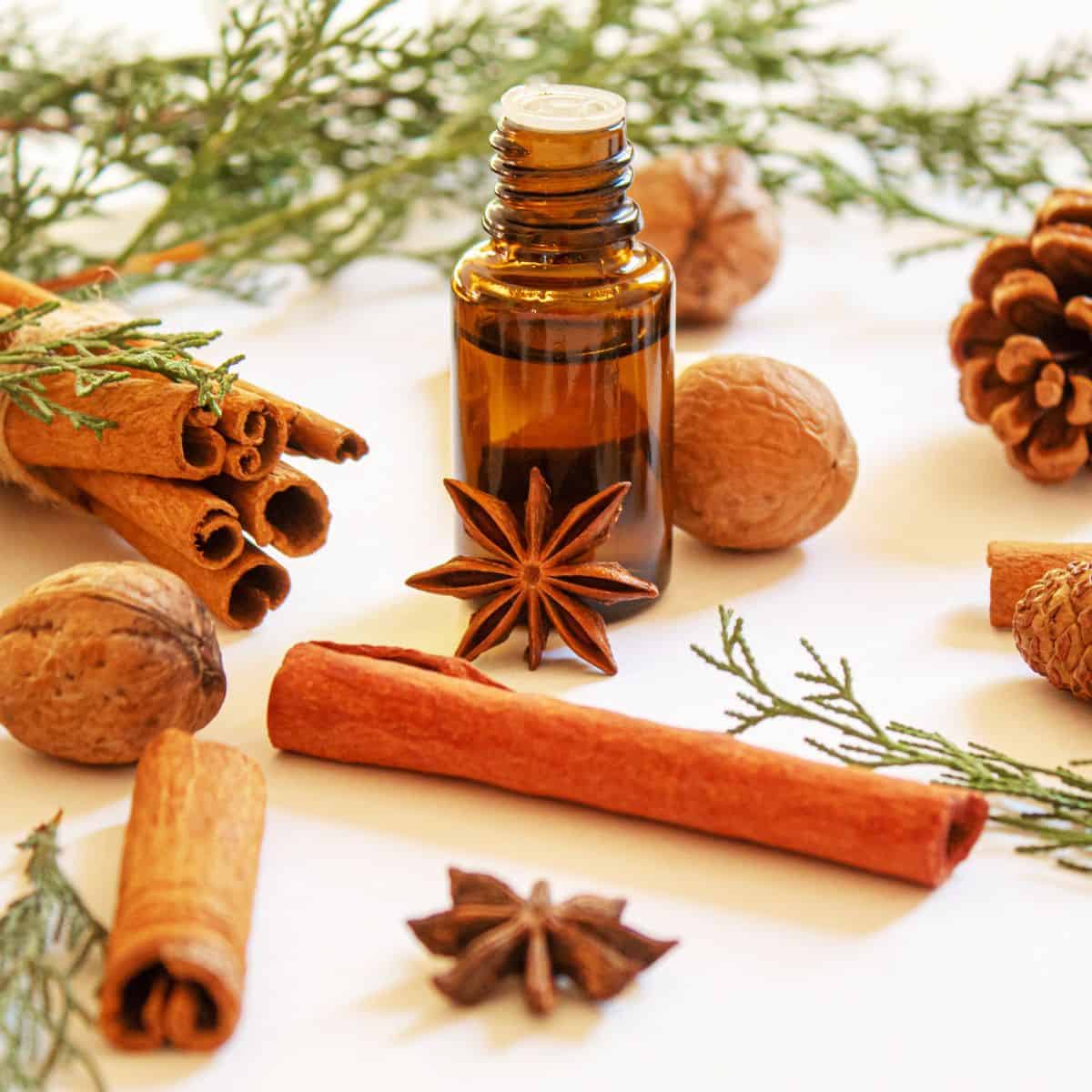 Essential Oil Facts - Everything You Need to Know About Essential Oils ...